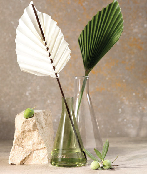 All Collections – LALINE GLOBAL